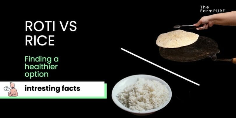Roti Vs Rice | Battle Of Choosing A Healthier Option - The FarmPURE